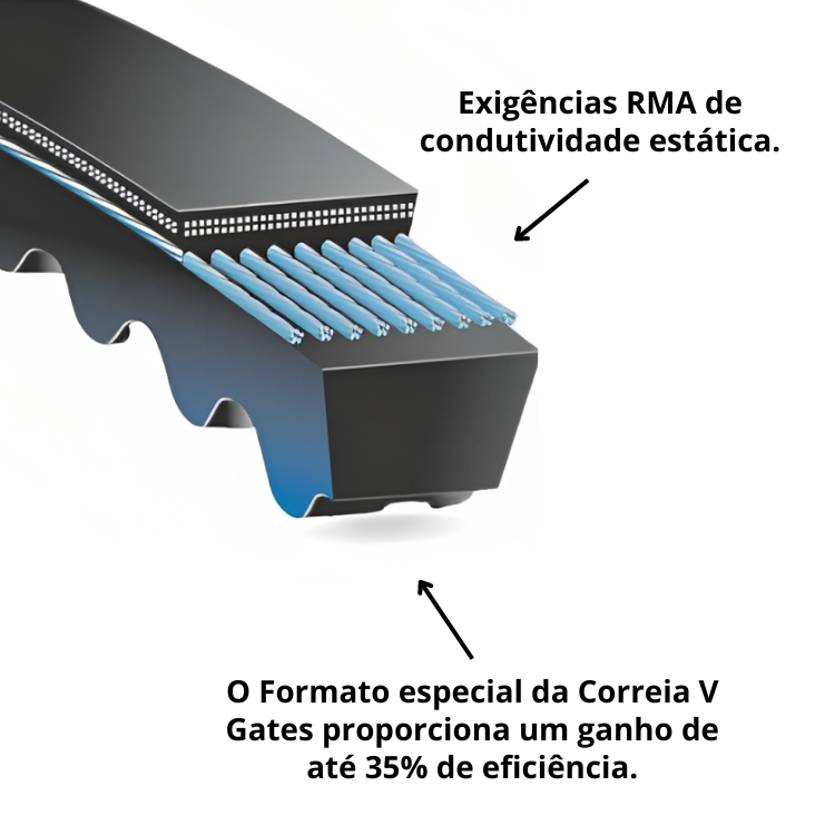 Correia GATES Dentada 3VX