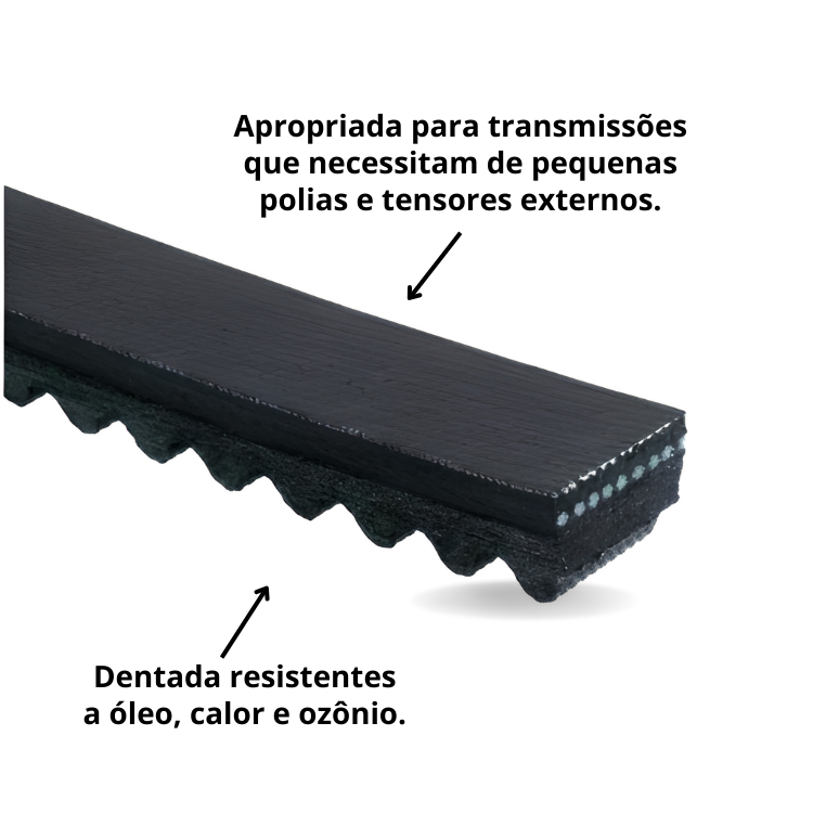 Correia GATES BXS